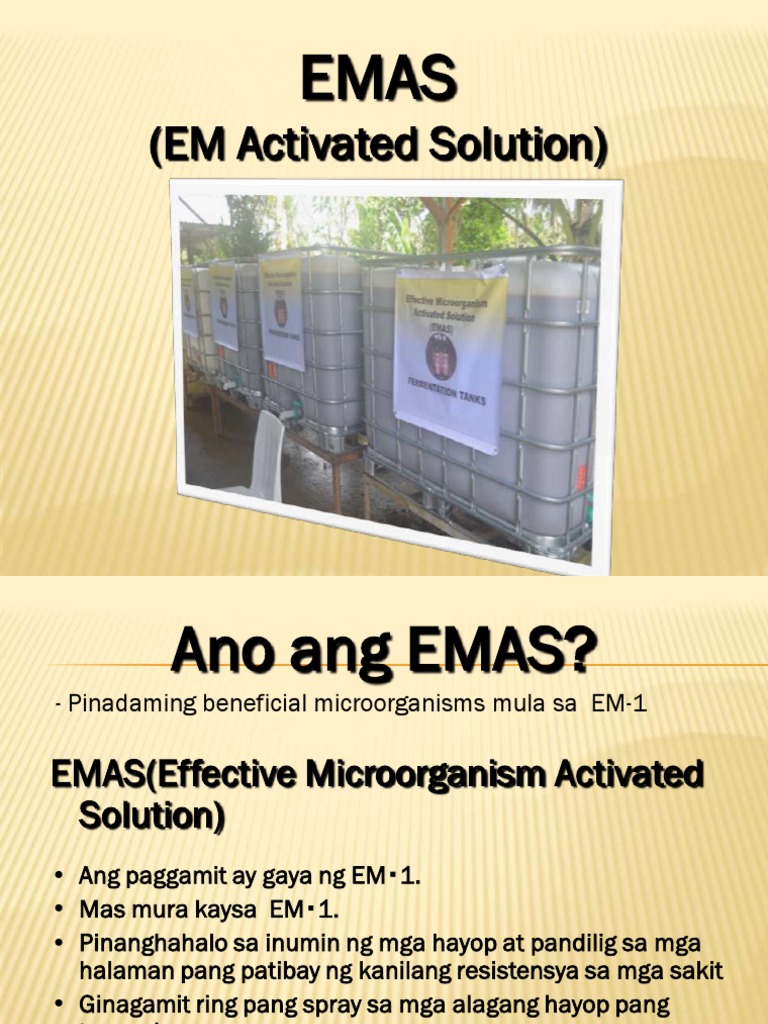 EM Technology | PDF