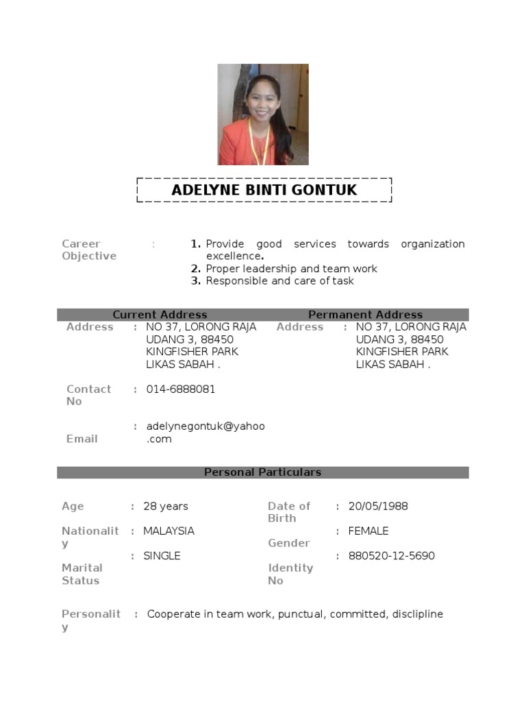 Resume Adel | PDF