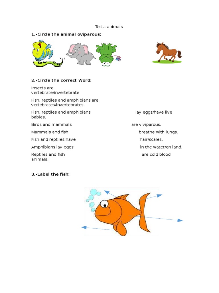 Oviparous Vertebrates Worksheet | PDF | Science & Mathematics