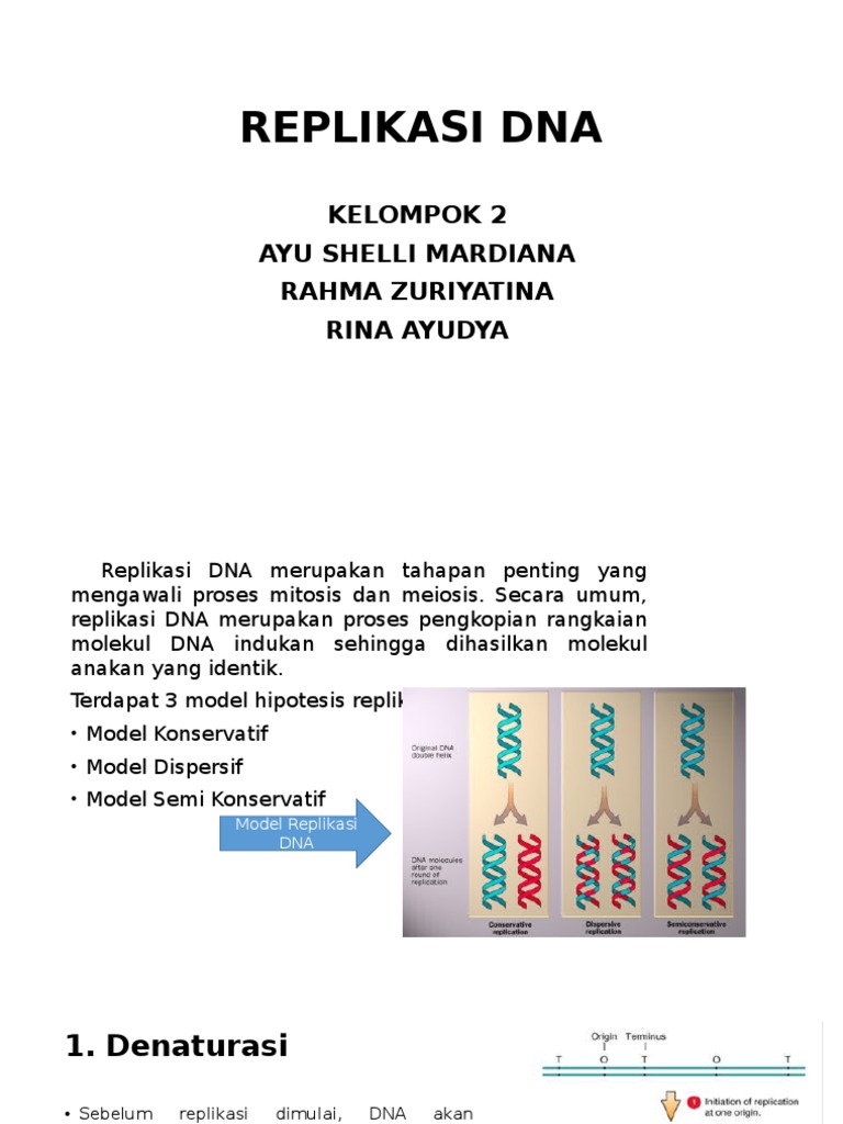 Replikasi Dna | PDF