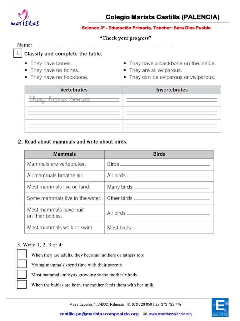 Activity 3 - Check Your Progress | PDF