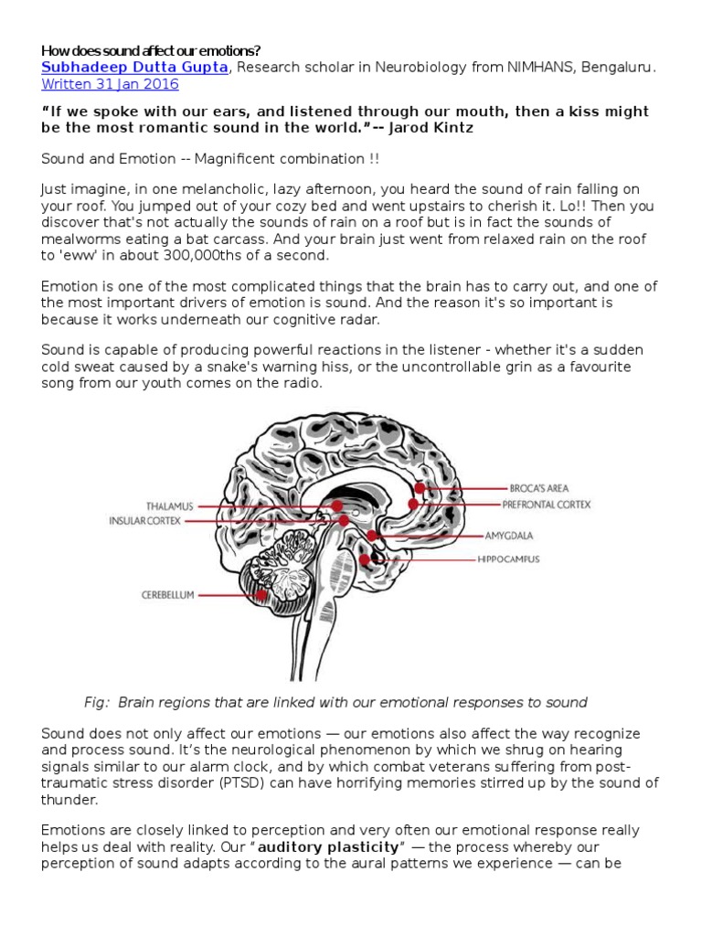 How Music Affects Our Emotion | Reward System | Emotions