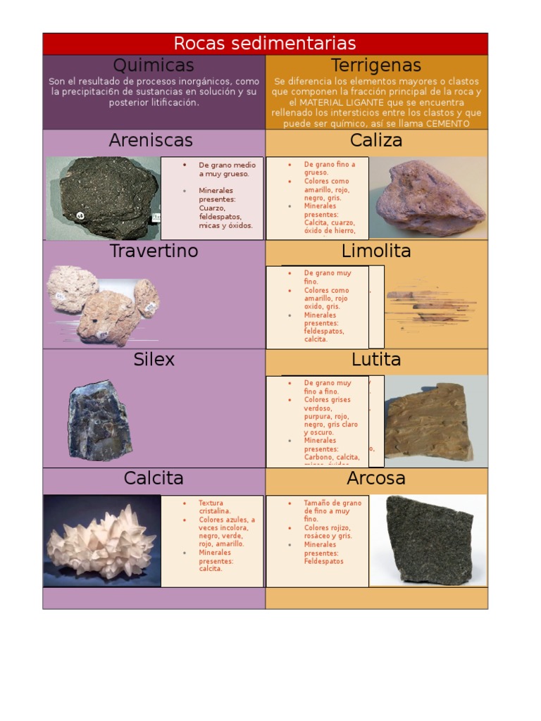 Clasificación de Rocas Sedimentarias | PDF | Calcita | Minerales