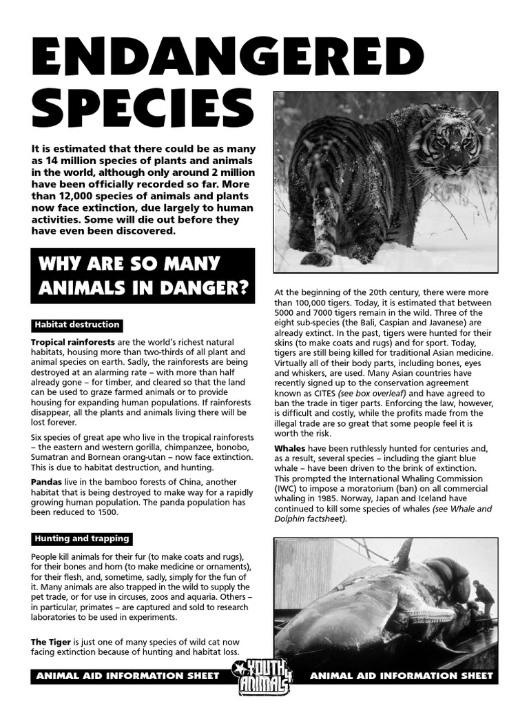 Vanishing Wildlife: Habitat Destruction, Hunting, and Pollution ...