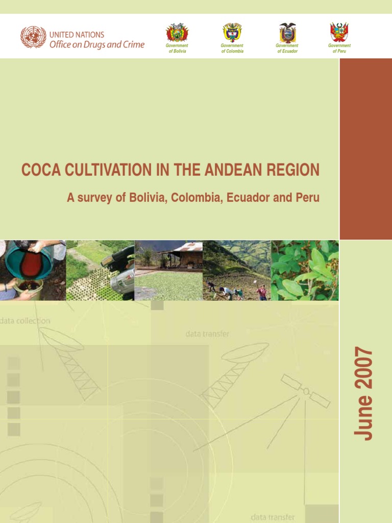 01574-Andean Report 2007 | PDF | Coca | Illegal Drug Trade