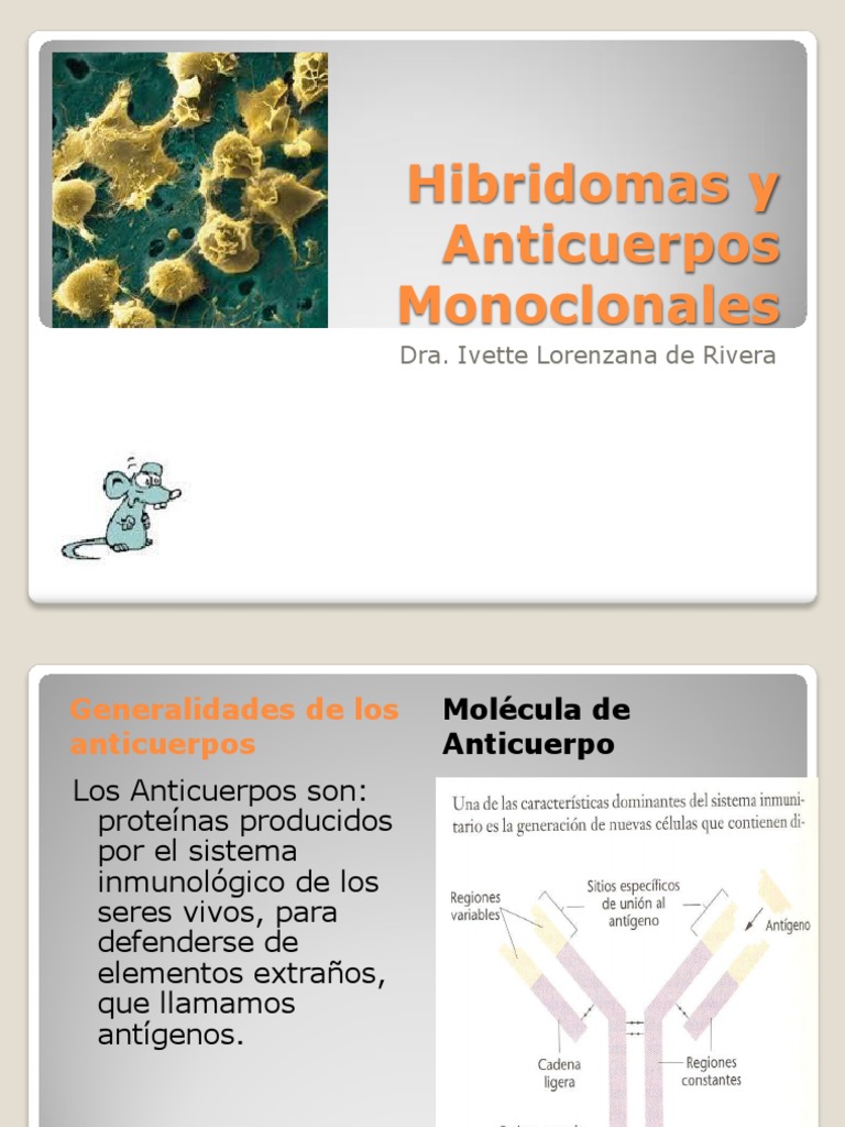 Hibridomas y Anticuerpos Monoclonales | PDF | Anticuerpo Monoclonal | Anticuerpo