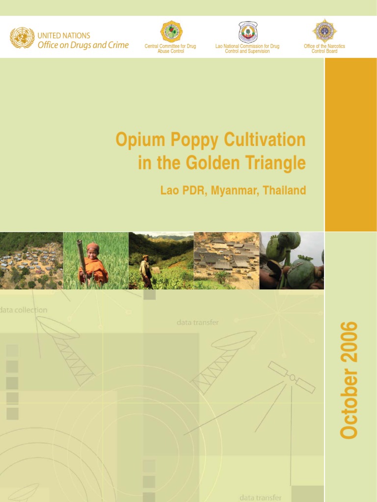 01623-Golden Triangle 2006 | PDF | Opium | Laos