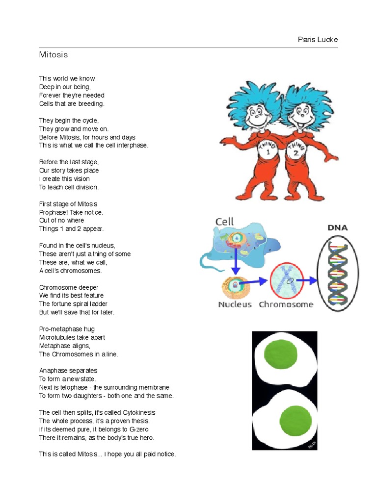 Mitosis Poem | PDF | Mitosis | Cell Anatomy