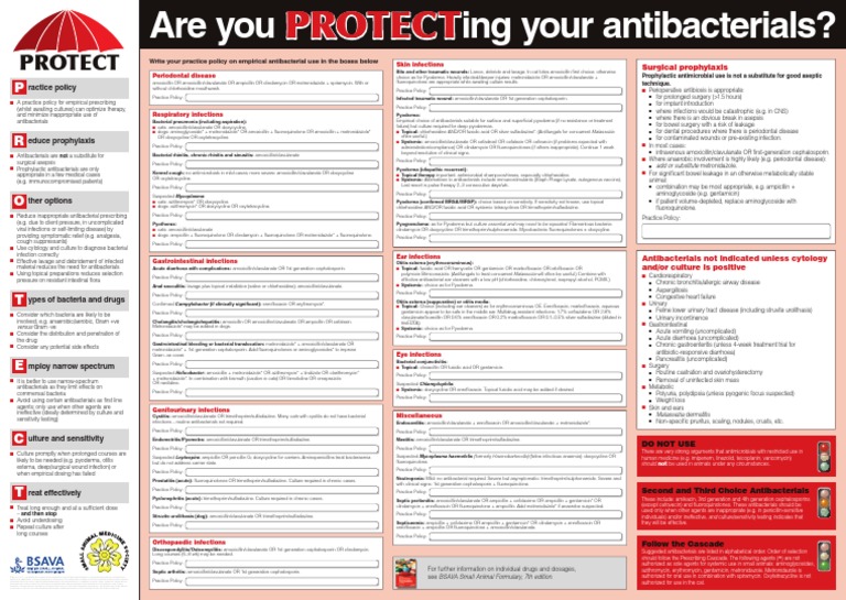 Bsava Protect Poster | Antibiotics | Infection