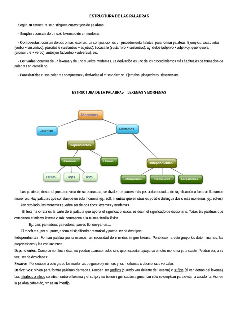 Estructura de La Palabra | PDF | Palabra | Verbo