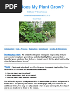 Go, Grow and Glow Foods Worksheet | PDF