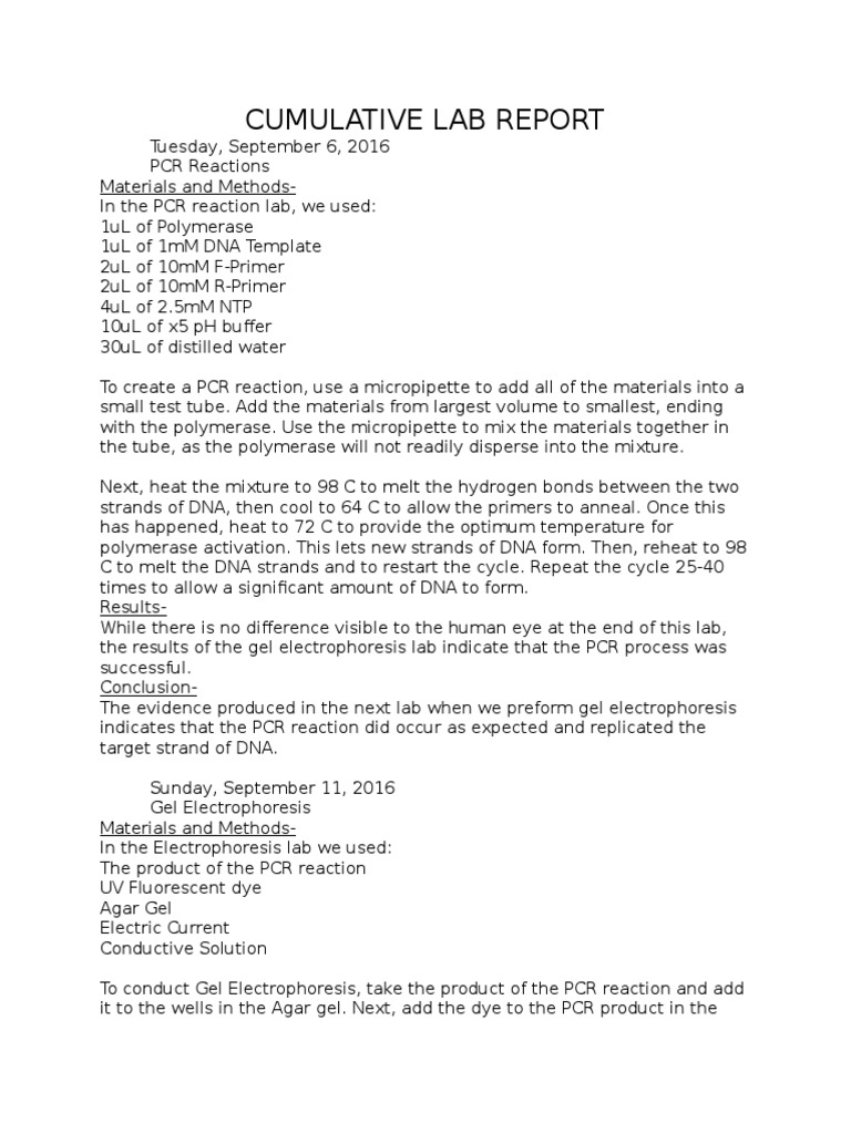 Cumulative Lab Report | PDF | Gel Electrophoresis | Polymerase Chain ...