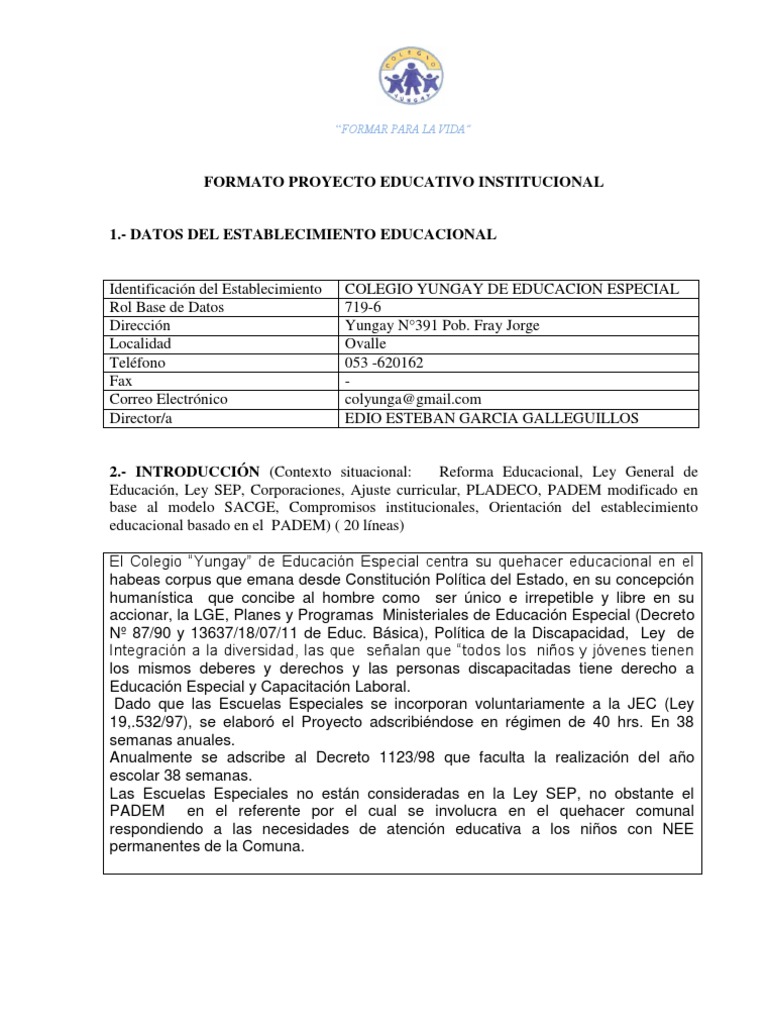 Como hacer un PEI.pdf | Educación especial | Planificación
