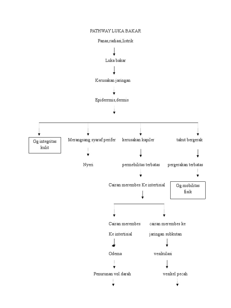 Pathway Luka Bakar | PDF
