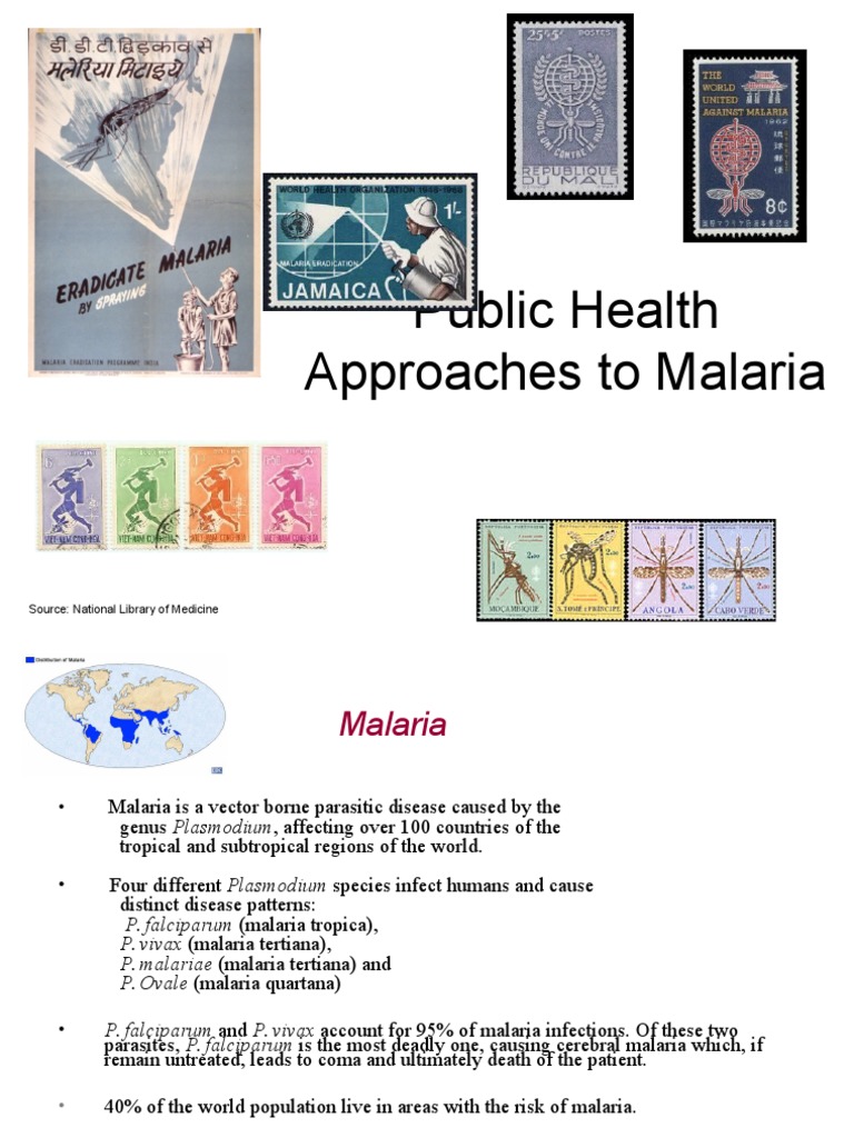 PPT On Malaria | PDF | Malaria | Plasmodium