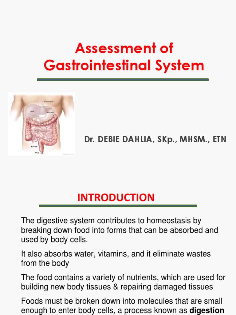 Assessment of GI System | PDF | Human Feces | Colonoscopy