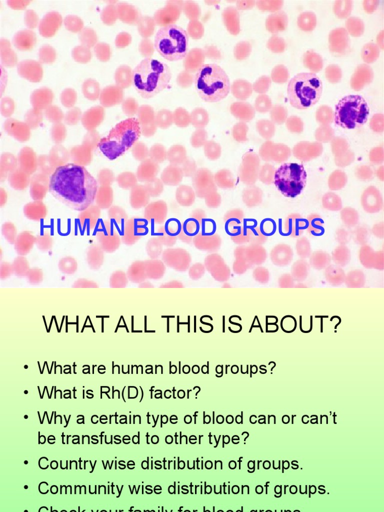 Human Blood Groups | PDF | Blood Type | Antibody