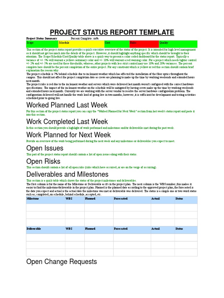 Project Status Report Template | PDF | Business | Computing