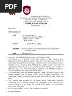 Spot Report, Progress Report and Final Report | PDF | Police | Prosecutor