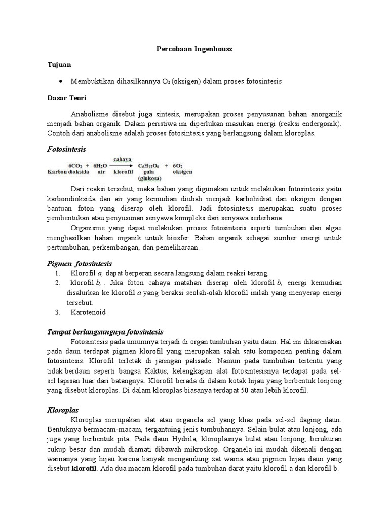 Percobaan Ingenhousz | PDF
