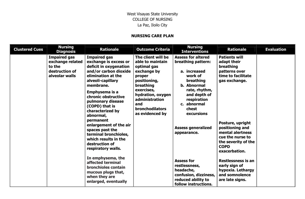 Nursing Care Plan for Emphysema | PDF | Lung | Chronic Obstructive ...