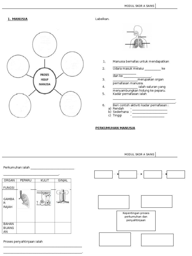 Modul Sains Tahun 4 | PDF