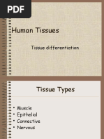 Tissues Drawing | PDF