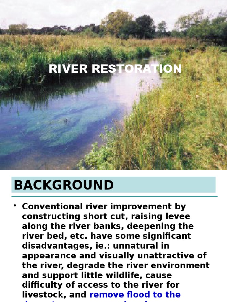 River Restoration: Prepared By: SURIPIN For KBK Hidro Seminar, October ...