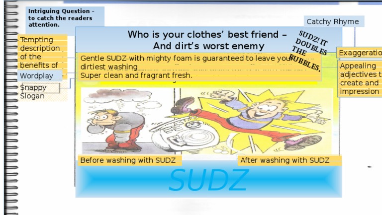 SUDZ: The Ultimate Washing Experience | PDF
