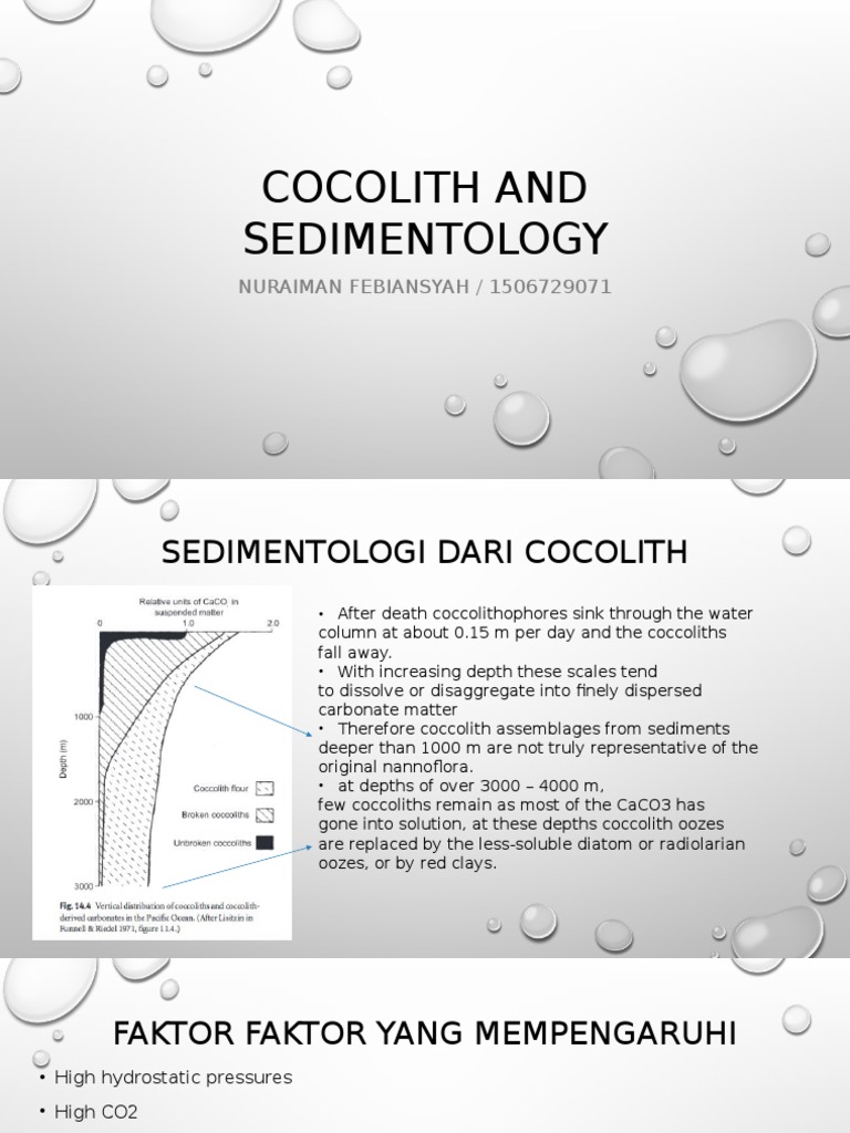 Cocolith and Sedimentology: NURAIMAN FEBIANSYAH / 1506729071 | PDF