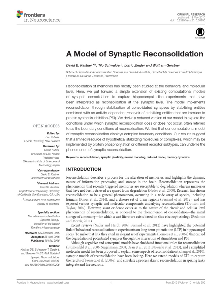 A Model of Synaptic Reconsolidation: David B. Kastner, Tilo Schwalger ...