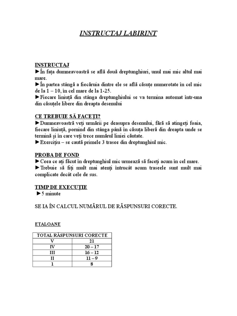 Test Labirint - Instructaj | PDF