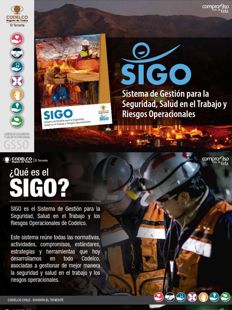 SIGO | PDF | Seguridad y salud ocupacional | Bienestar