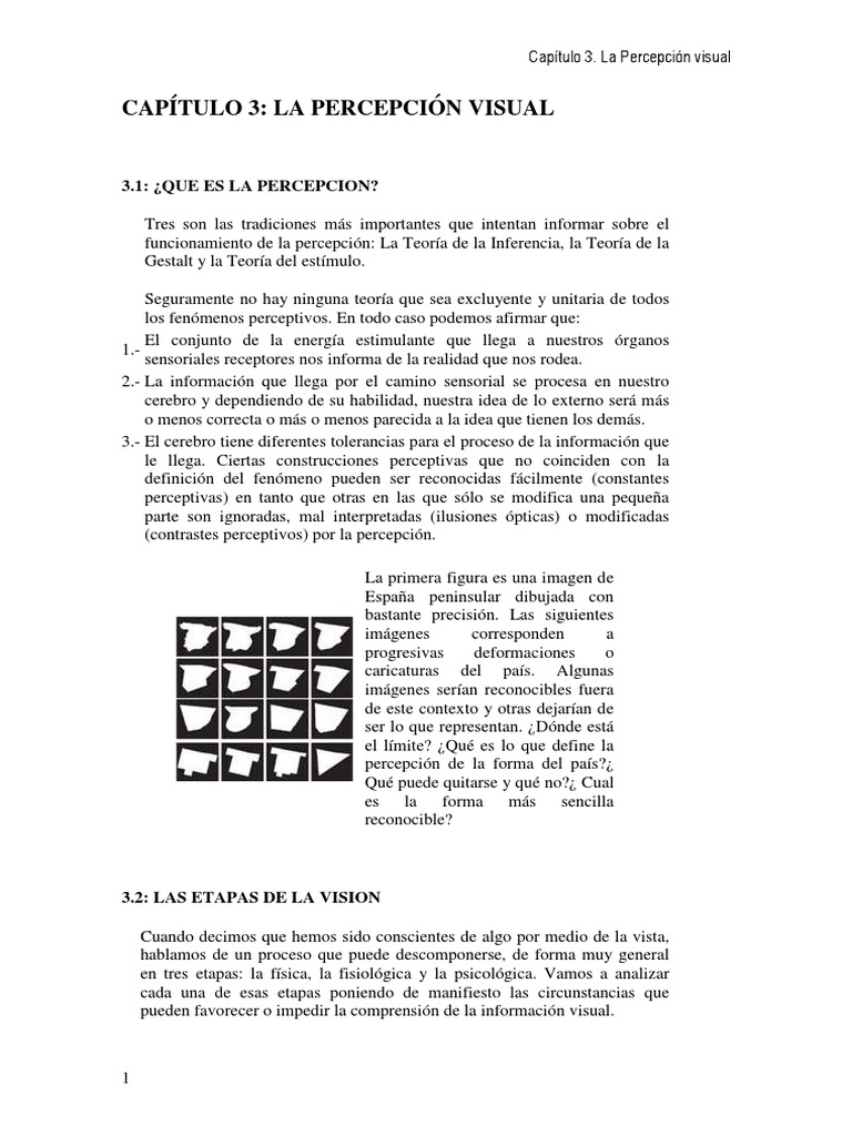 CAPITULO 3 La Percepcion Visual PARTE1 | PDF | Percepción visual ...