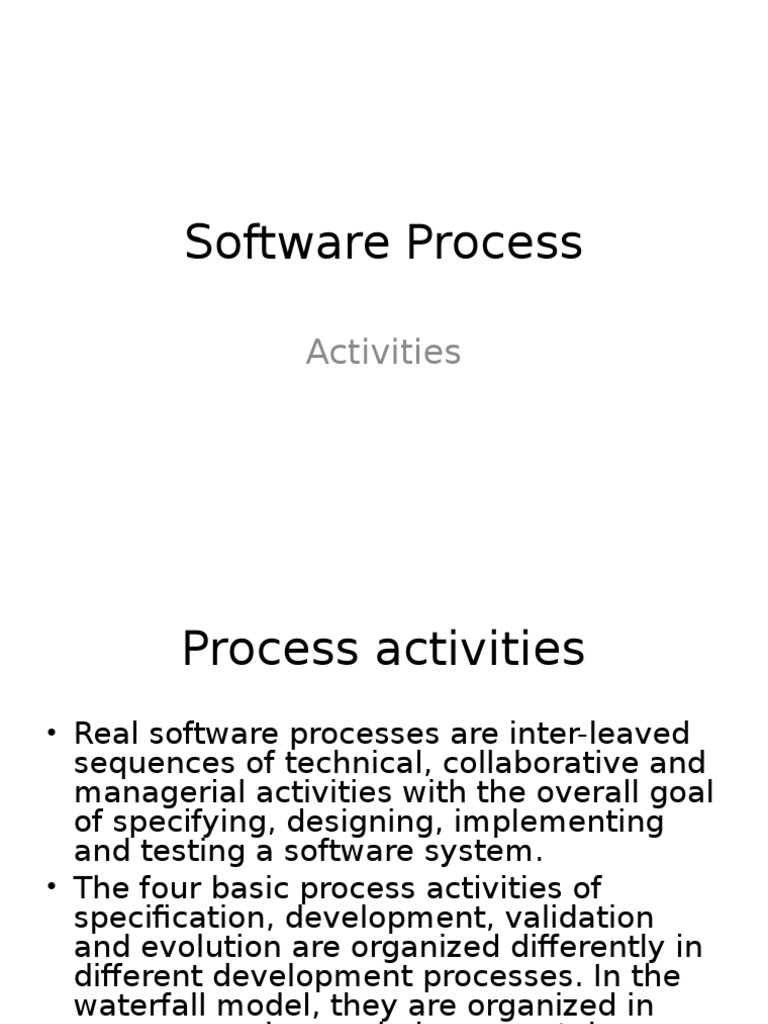 SProcess Activity | PDF | System | Verification And Validation