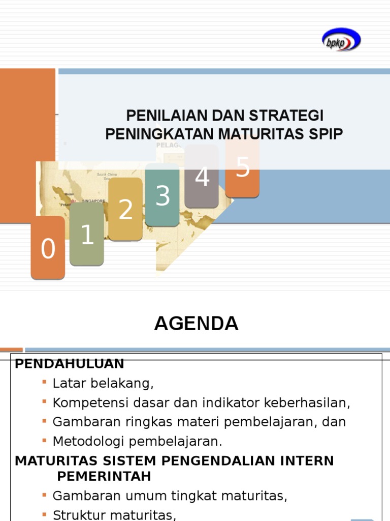 Penilaian Maturitas SPIP | PDF