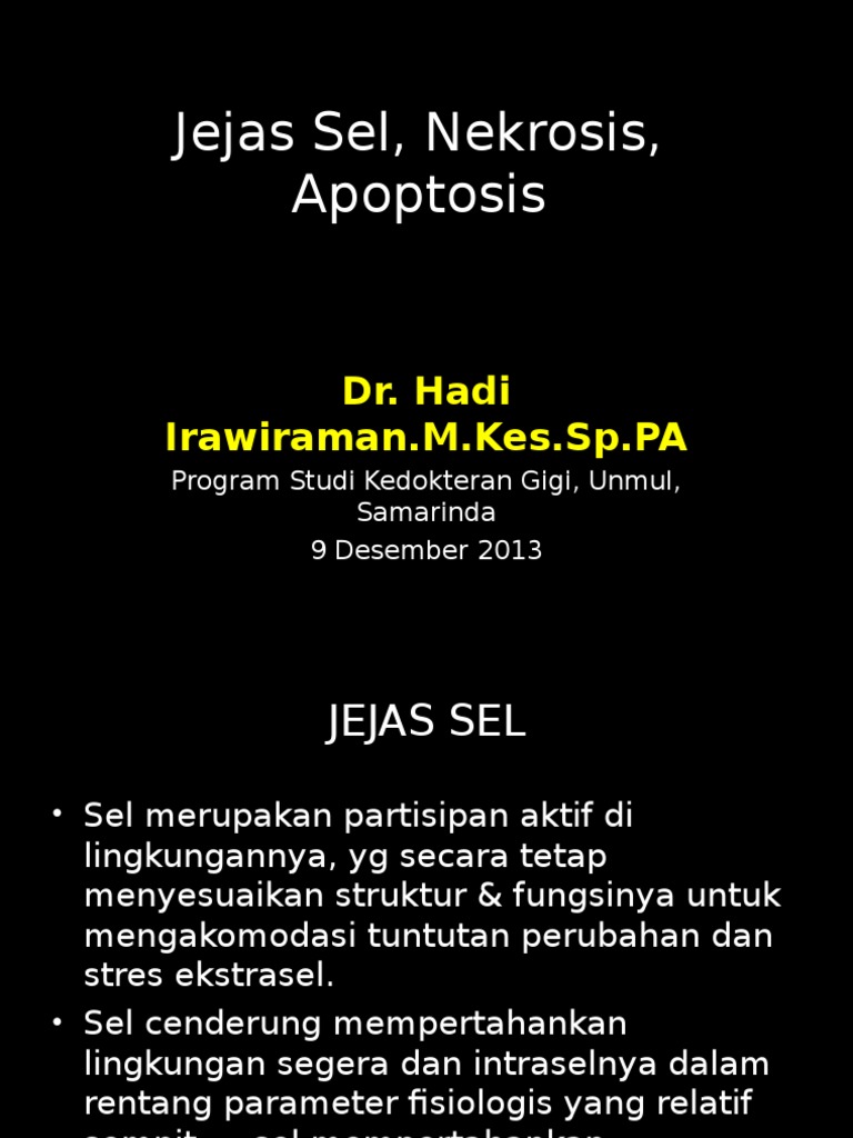 Jejas Sel. (DR Hadi) | PDF