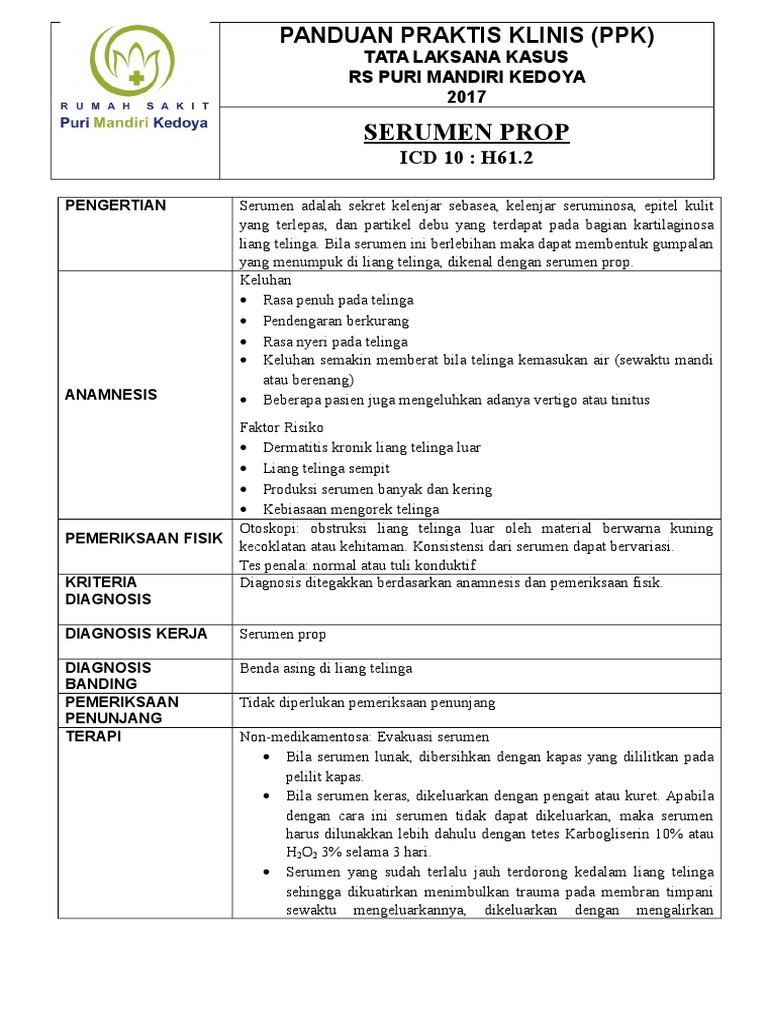 PPK Serumen Prop | PDF