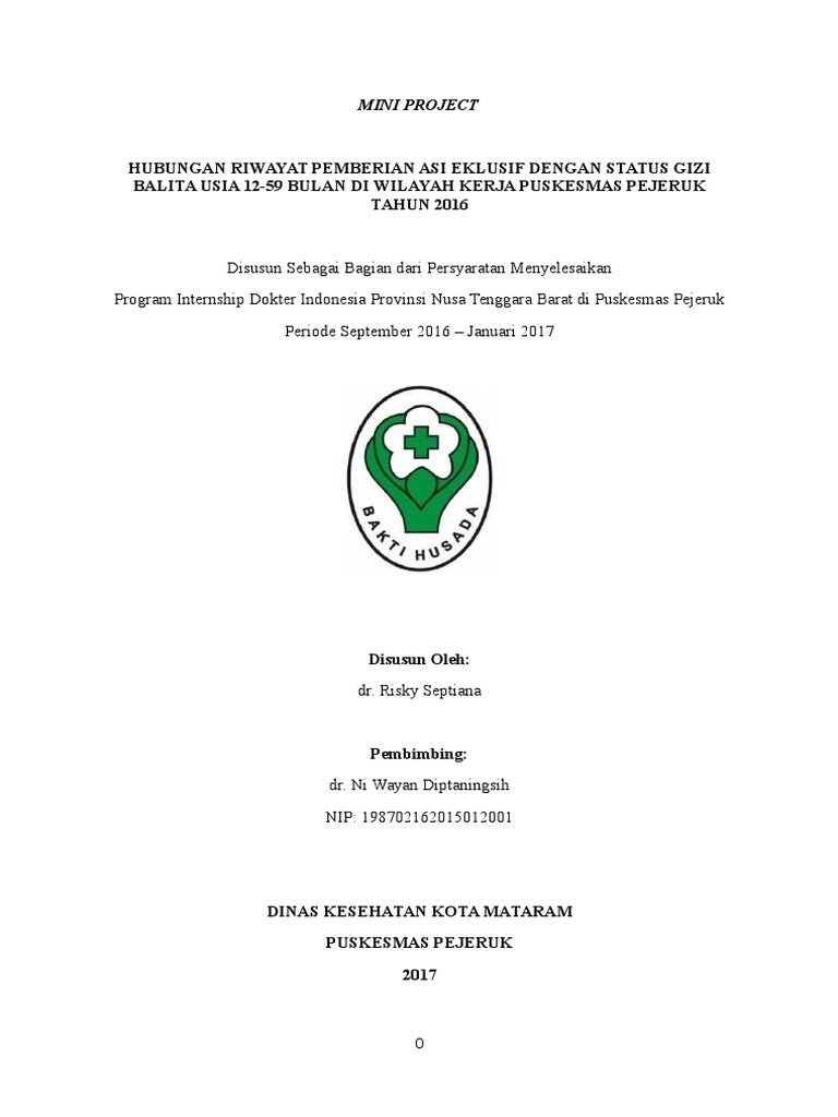 Mini Project Internship | PDF