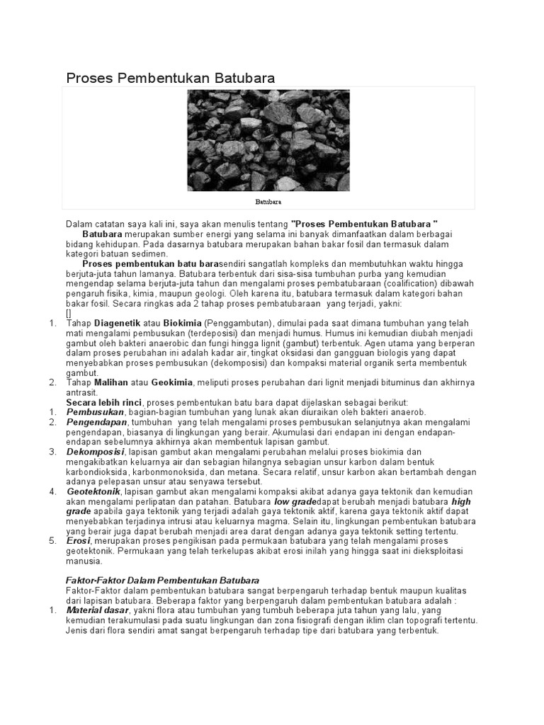 Proses Pembentukan Batubara | PDF | Sains & Matematika