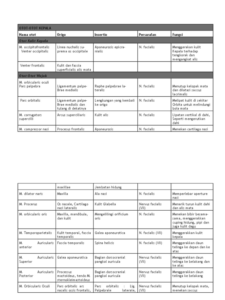 Origo Insertio Inervasi | PDF