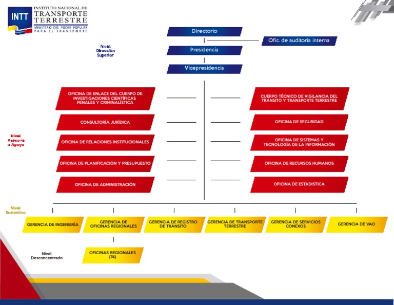 Estructura Del INTT | PDF