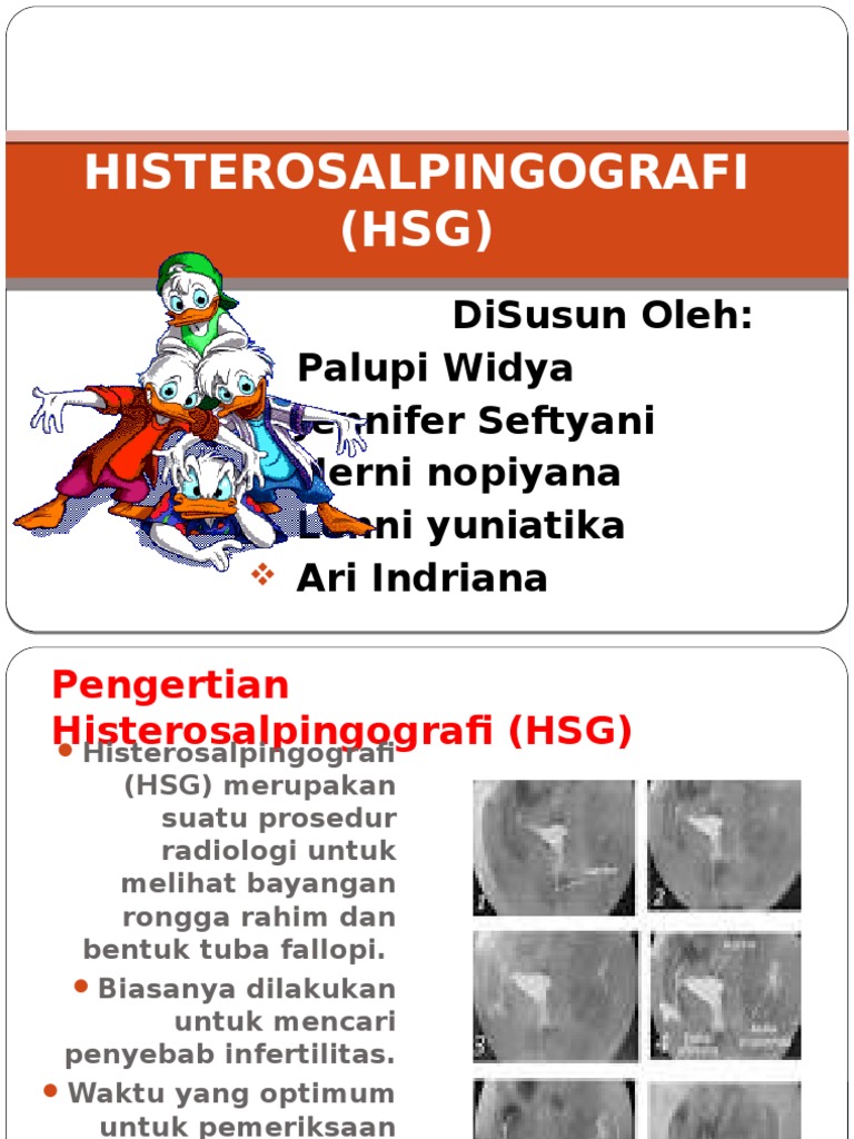 Histerosalpingografi HSG | PDF | Pengembangan Diri | Kesehatan Holistik