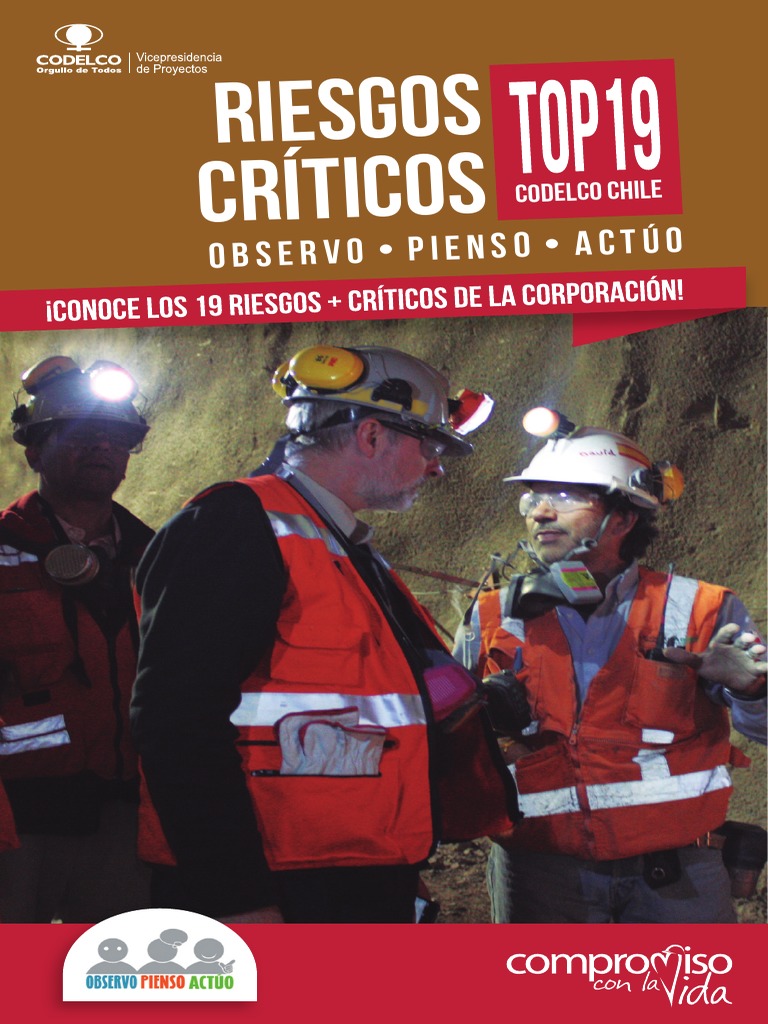 Libreta Control de Riesgos Críticos VP. 18-03-2015 | PDF | Física | Science