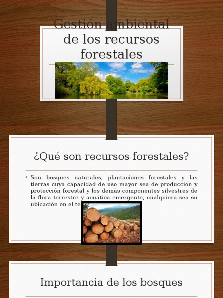 Gestión Ambiental de Los Recursos Forestales | PDF | Los bosques ...