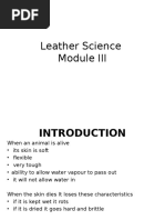 Defects of Hides and Skins | PDF | Leather | Skin