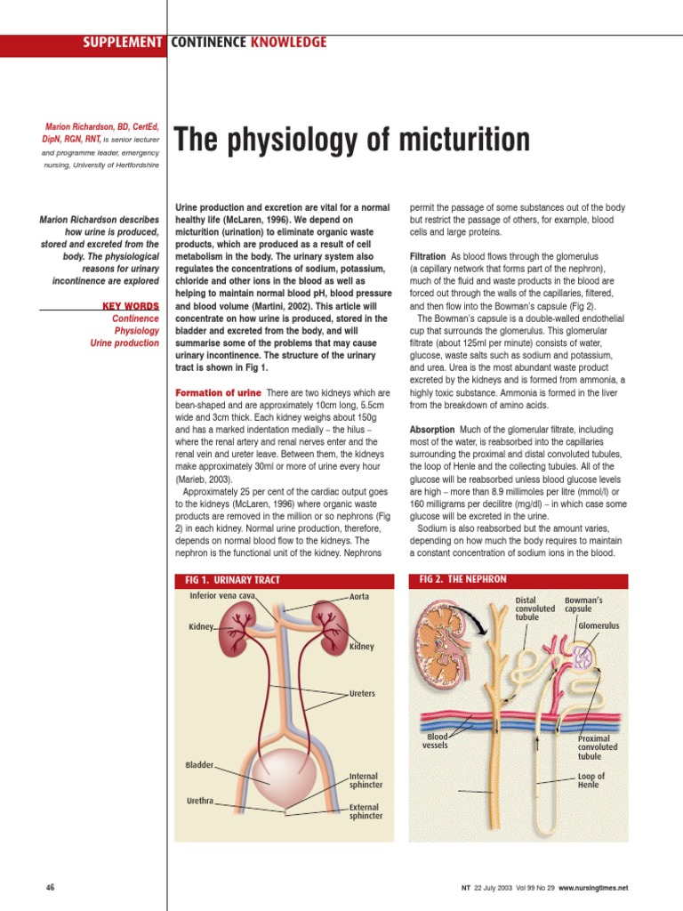 030722the Physiology of Micturition | PDF | Urination | Urinary Bladder