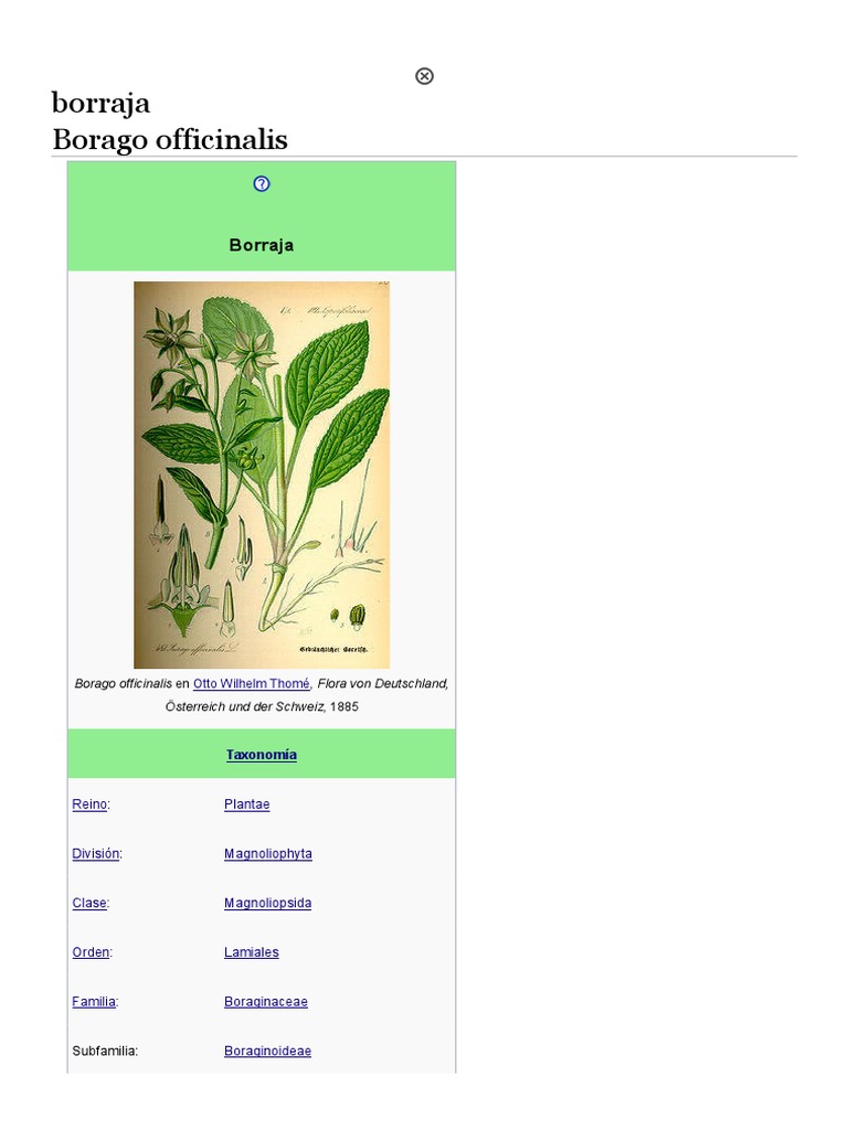 Borra Ja | PDF | Vegetales | Alimentos