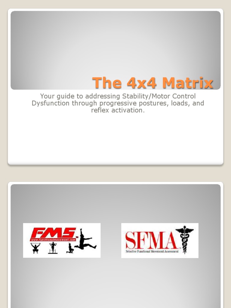Addressing Stability and Motor Control Dysfunction Through a ...