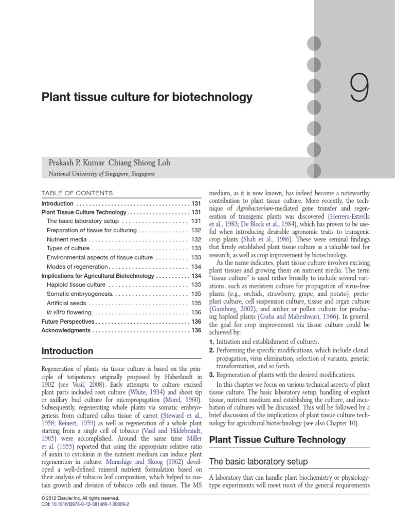 Plant Tissue Culture For Biotechnology | PDF | Plant Hormone ...